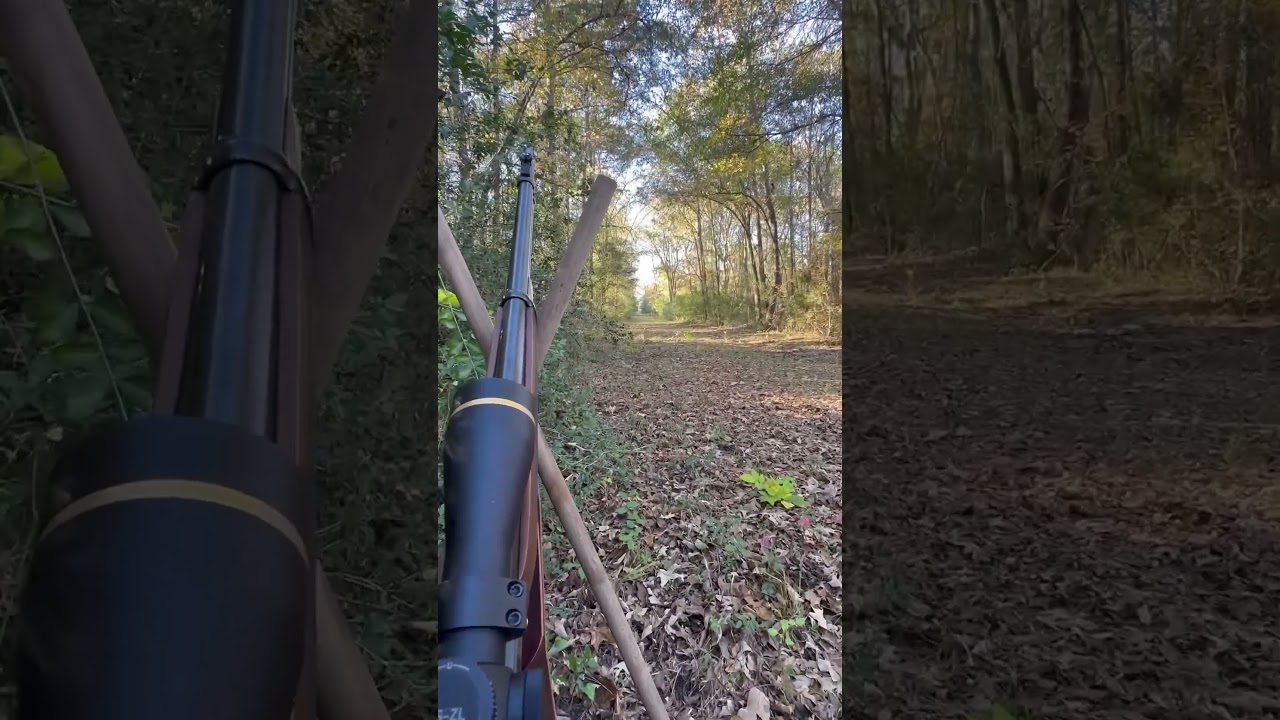 How far is TOO FAR?! (Marlin 336 30-30 Lever Action)