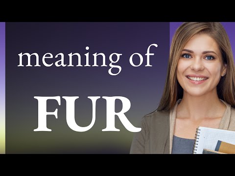 Fur — FUR definition