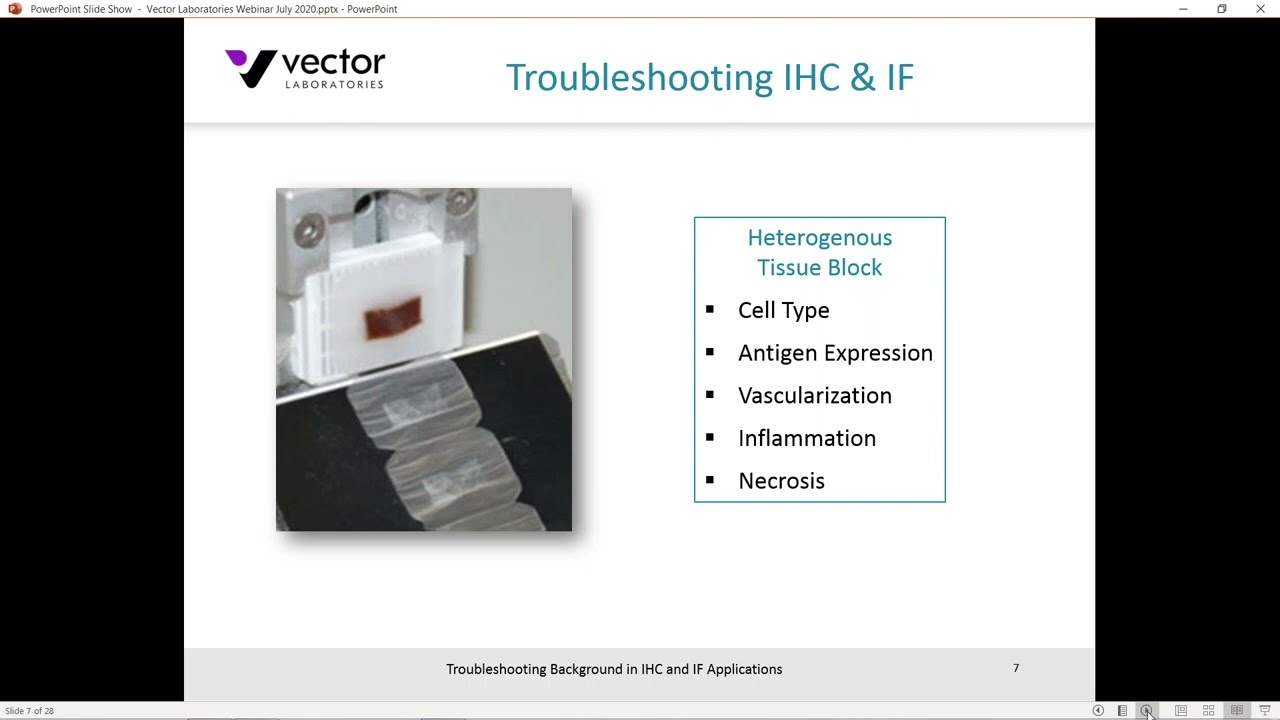 Troubleshooting background in IHC and IF applications