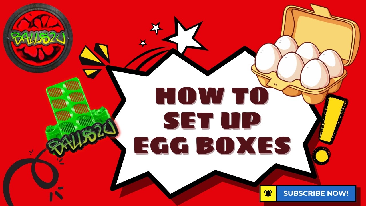 HOW TO SET UP BALL PYTHON EGG BOXES IN 2026 #ballpython #reptiles #help