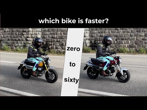 Minimoto speed test: '23 Honda Dax vs '22 Honda Monkey