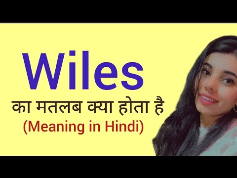 Wiles meaning in hindi/ Wiles ka matlab kya hota hai