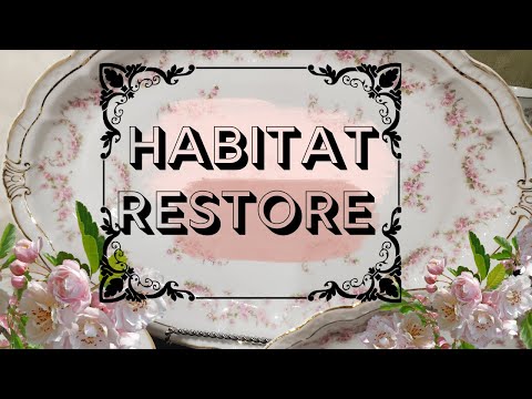 Habitat Restore Walkthrough #Habitat #HabitatReStore #ReStore #Thrifting
