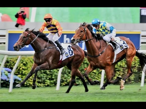 2025 Chairman's Trophy 1600M Sha Tin Racecourse Hong Kong : Straight Arron (1:34:09)