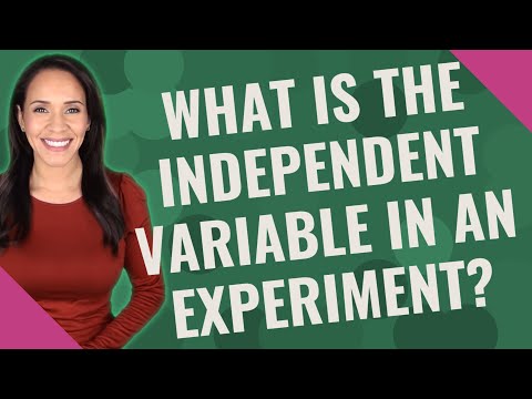 What is the independent variable in an experiment?