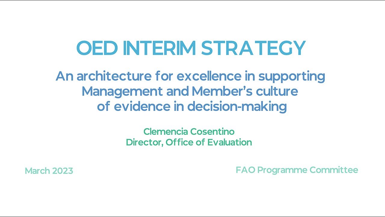 FAO Office of Evaluation interim strategy