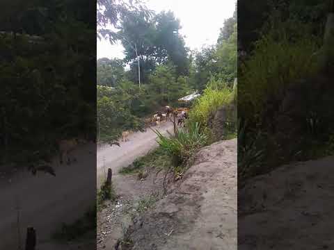 Recuerdos Duarte Reyes