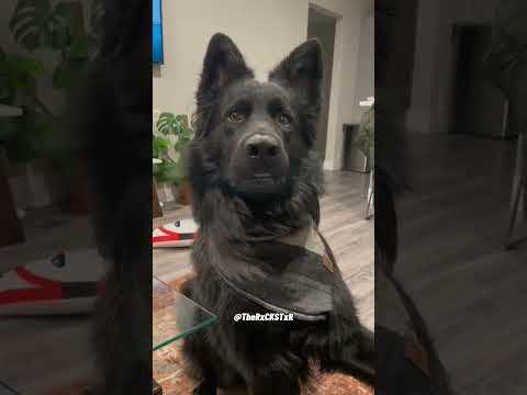 When Your Teacher Calls About Your Behavior! - RxCKSTxR Comedy Voiceover!