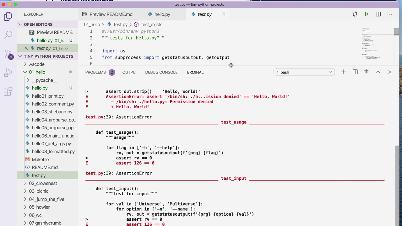 Tiny Python Projects: Ch 1 Pt 3 (running tests)