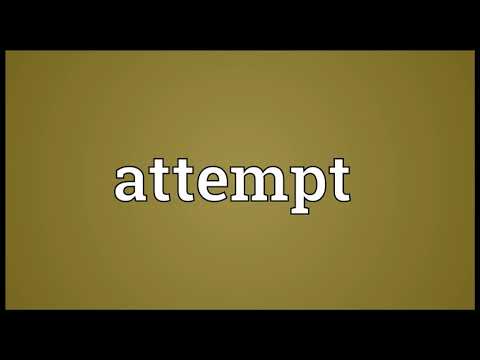 attempt meaning in English