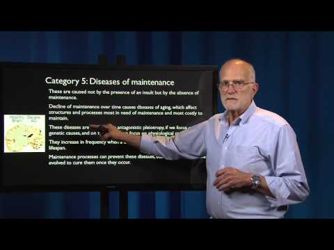 3.1 - What is a disease? Introduction