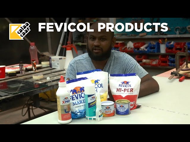 Adhesive Gum - Fevicol SR 998 Synthetic Rubber Adhesive Trader ...