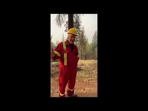 Scotch Creek firefighter, Dave Kleer, tours his property after the Adams Lake wildfire