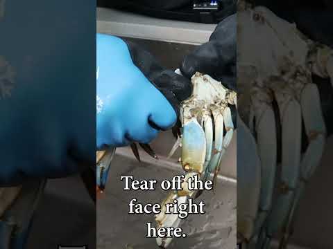 How to Clean a Blue Crab in 60 Seconds