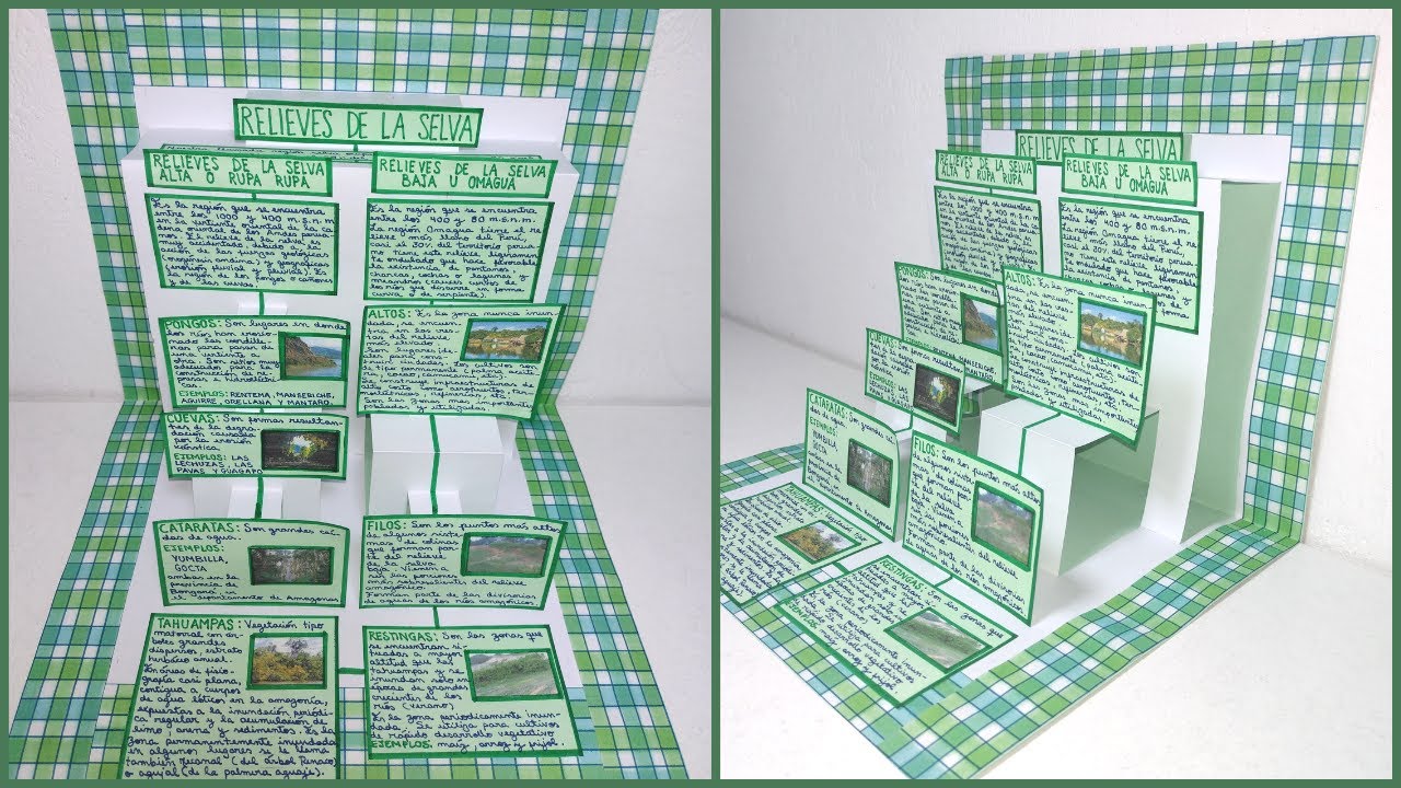 Mapa conceptual│Tarjeta Pop-Up│Relieves de la Selva