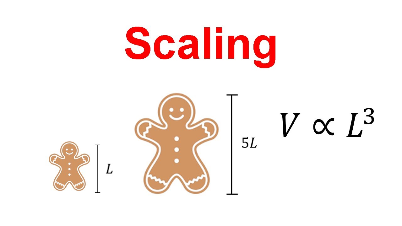 Scaling, Units, and Dimensions (Physics)