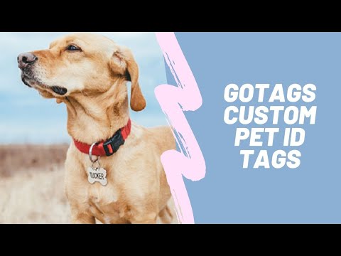 GoTags Personalized Pet Id Tags | $100k Bonuses in Description