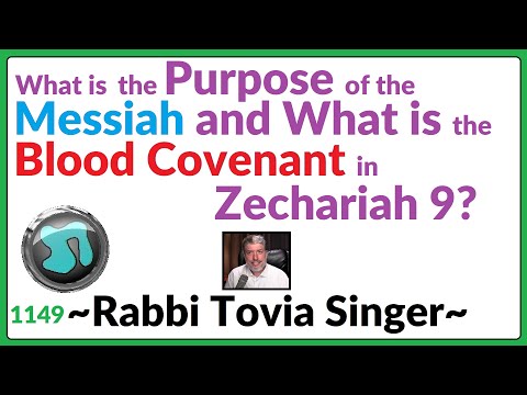 1164 - What is the Purpose of the Messiah and What is the Blood Covenant in Zech 9? R. Tovia Singer