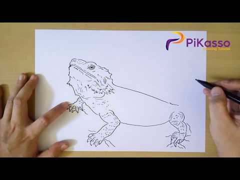 How To Draw A Bearded Dragon Step by Step – I'm Youtuber – Follow my ...