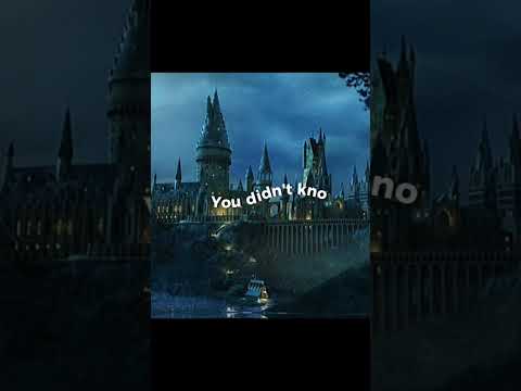 Harry Potter Facts You Didn't Know #viral #harrypotter