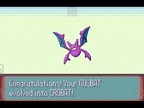 How to get Crobat in Pokemon Ruby / Sapphire / Emerald + tips to get happiness fast