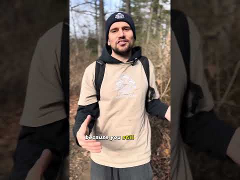 Learn the difference between a Mushroom, Lichen, and Mycelium!