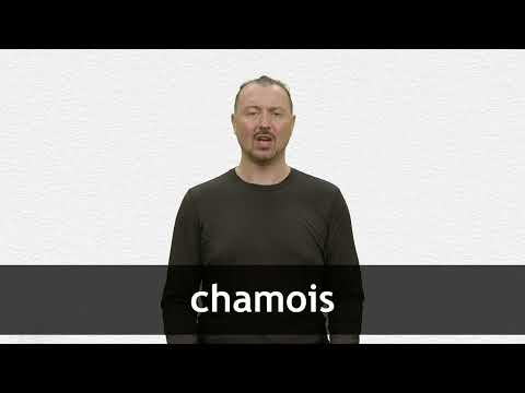 How to pronounce CHAMOIS in French