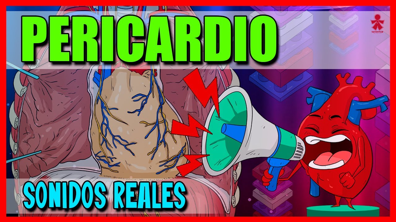 PERICARDIO - Anatomía del CORAZÓN ‼️