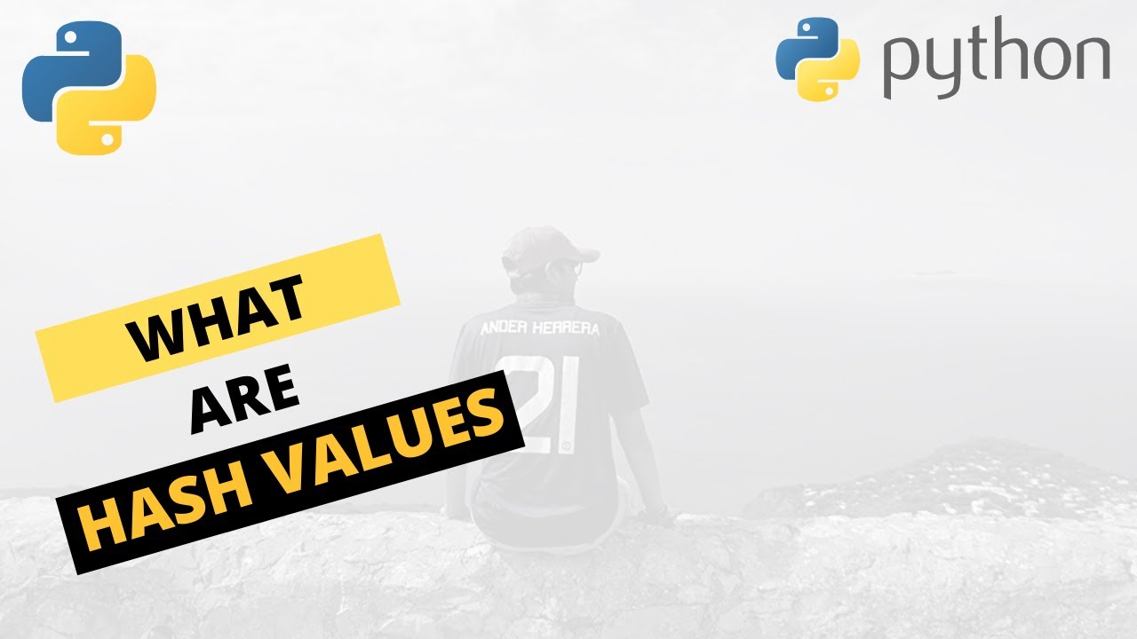 What Are Hash Values ? || Python hash() function