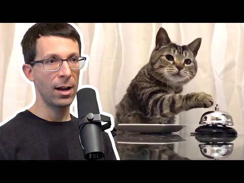 What is Deep Reinforcement Learning? (David Silver, DeepMind) | AI Podcast Clips
