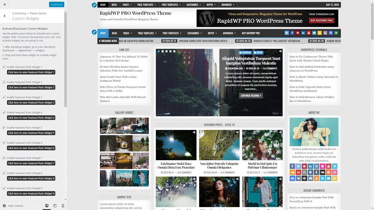 Custom Widgets - RapidWP PRO WordPress Theme
