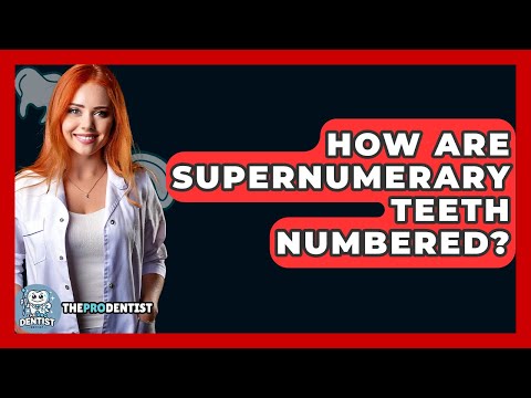 How Are Supernumerary Teeth Numbered? - The Pro Dentist