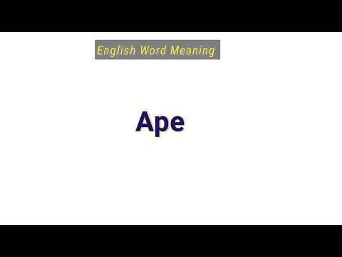 ape meaning in english | ape pronunciation | daily use vocabulary words