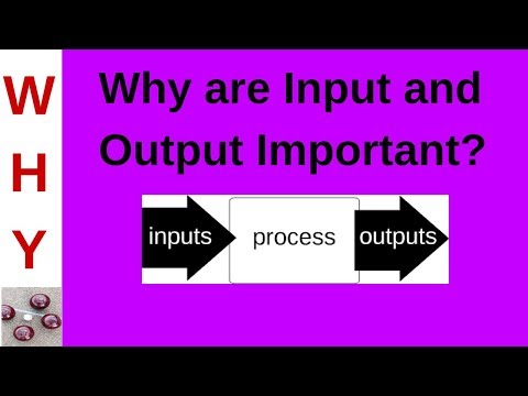 Input/Output Function
