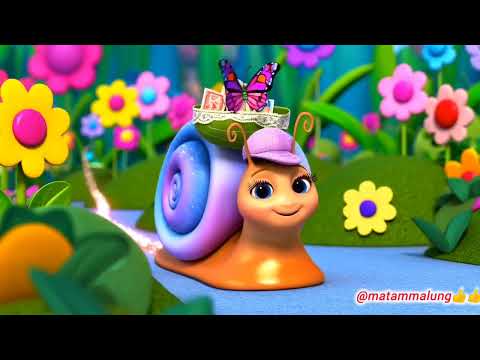The Snail Mail Express