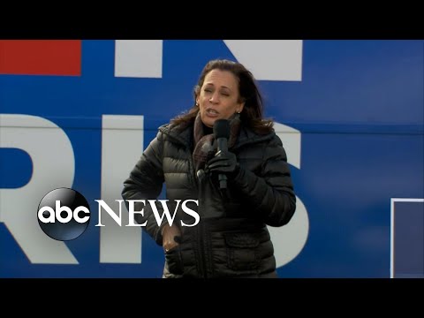 Election experts analyze unique characteristics of 2020 race