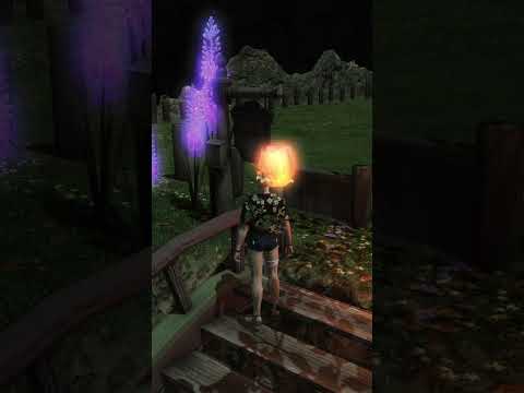 The FFXIV housing lottery grind begins. Part 1 of many.
