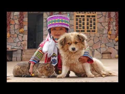 Stunning Photo Series (HD1080p)