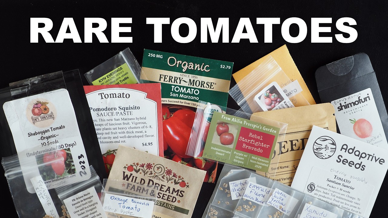 2026 Rare Tomato Varieties