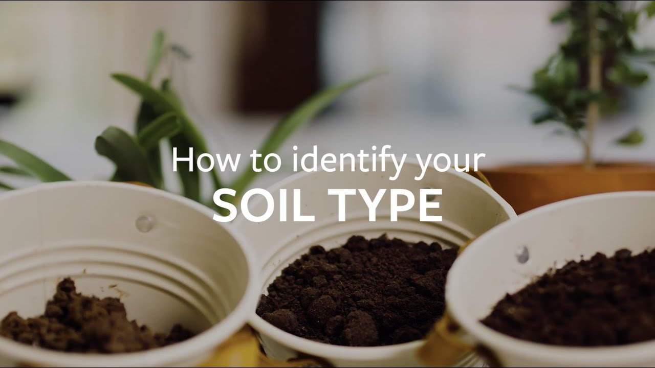 How to identify your soil type | Grow at Home | RHS