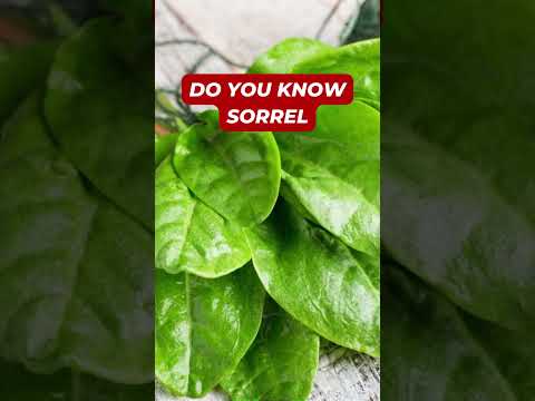 Uncovering the Hidden Secrets of Sorrel What You Didn't Know About Sorrel!