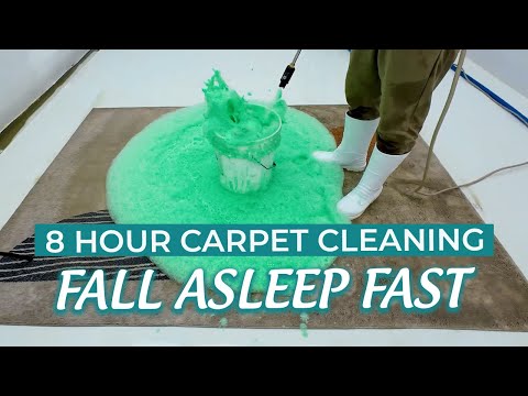 8 Hour ASMR Carpet Cleaning: The Sleep-Helping Sounds You Need - ASMR Sleep - Deep Sleep