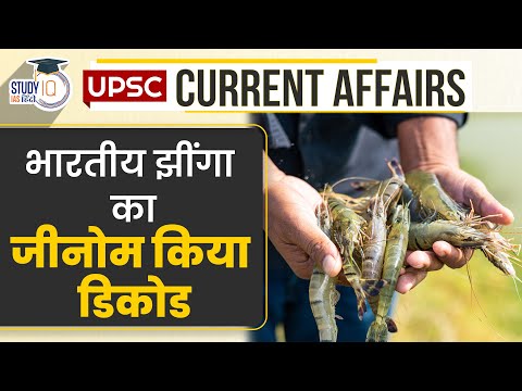 Genome of Indian Shrimp | Current Affairs In Hindi | UPSC PRE 2024 | StudyIQ IAS Hindi
