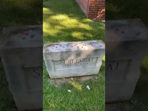 Secretariat’s Grave Claiborne Farm #secretariat #horse #fyp #shorts #fypシ