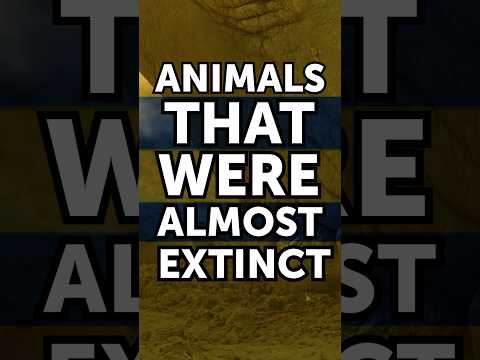 Saving Vanishing Animals #wildlife #animals