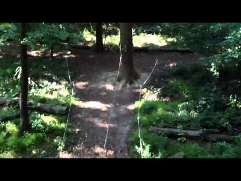 Ziplining at The Adventure Park at Sandy Spring Friends School