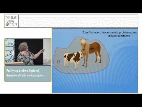 Professor Andrea Bertozzi: "Geometric Graph-Based Methods for High Dimensional Data"