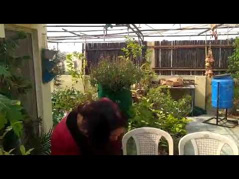 Compost Bin - Compost Tumbler Latest Price, Manufacturers & Suppliers