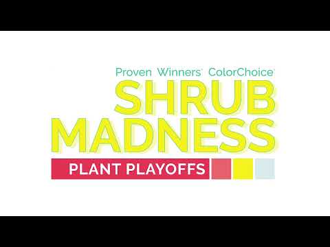 How to Register and Complete a Shrub Madness Bracket
