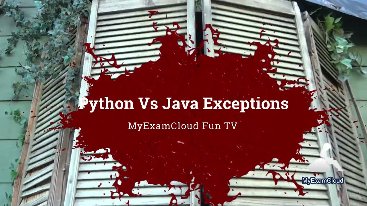Python Vs Java Exceptions funny meme